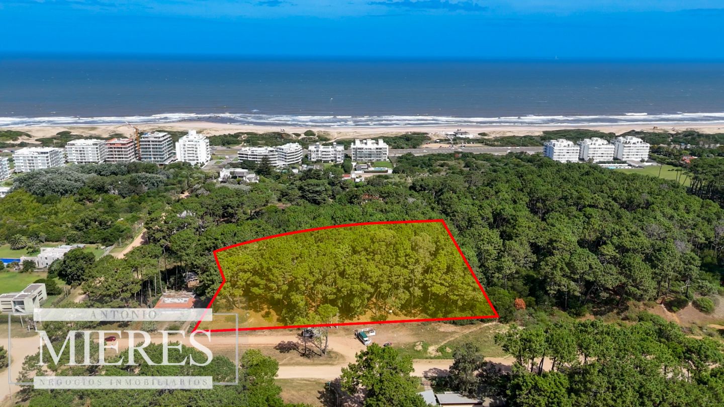 Venta Lote de 8000m2 para altura- Rincón del Indio - Inmobiliaria ...